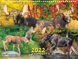 Maine Scene Calendar | Maine Scene | Maine Souvenirs and Calendars