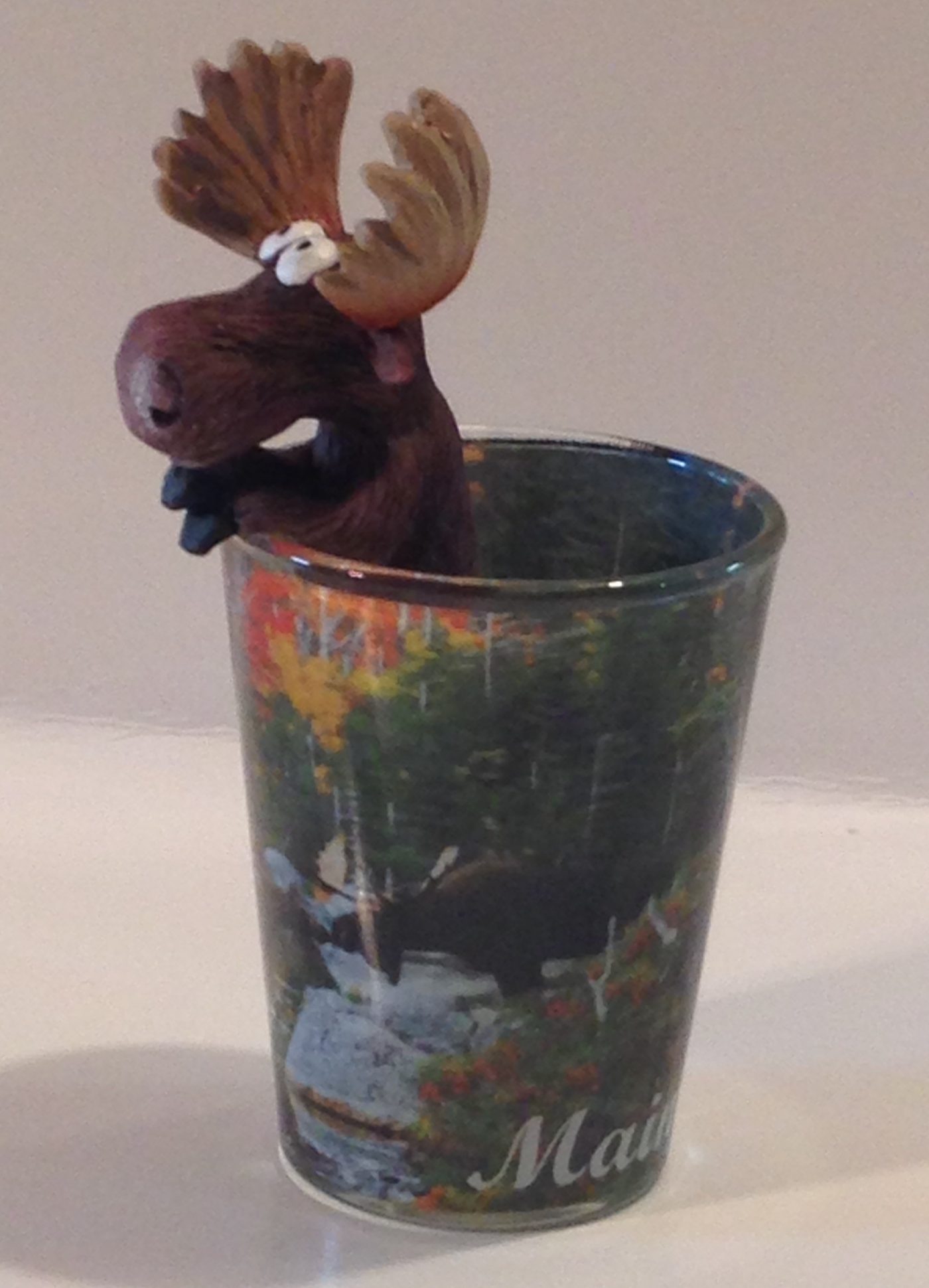Peeking Moose Shot Glass | Maine Scene | Maine Souvenirs and Calendars